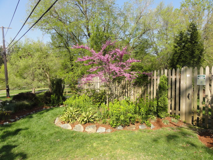 Spring Flowers in Silver Spring, MD - Garden Makeover Company